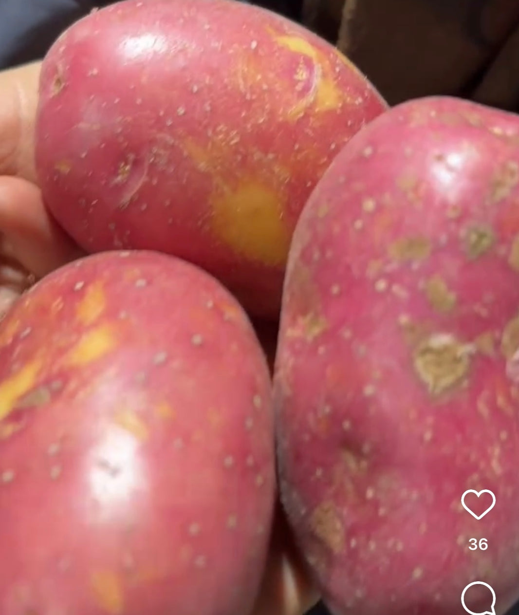 Products – Spud Sisters