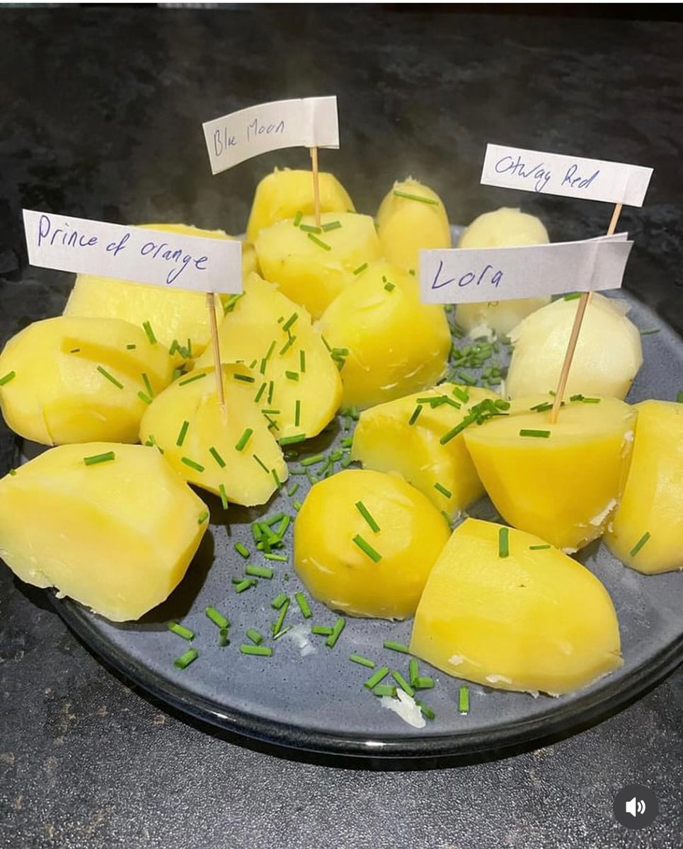 Laura Potatoes – Spud Sisters