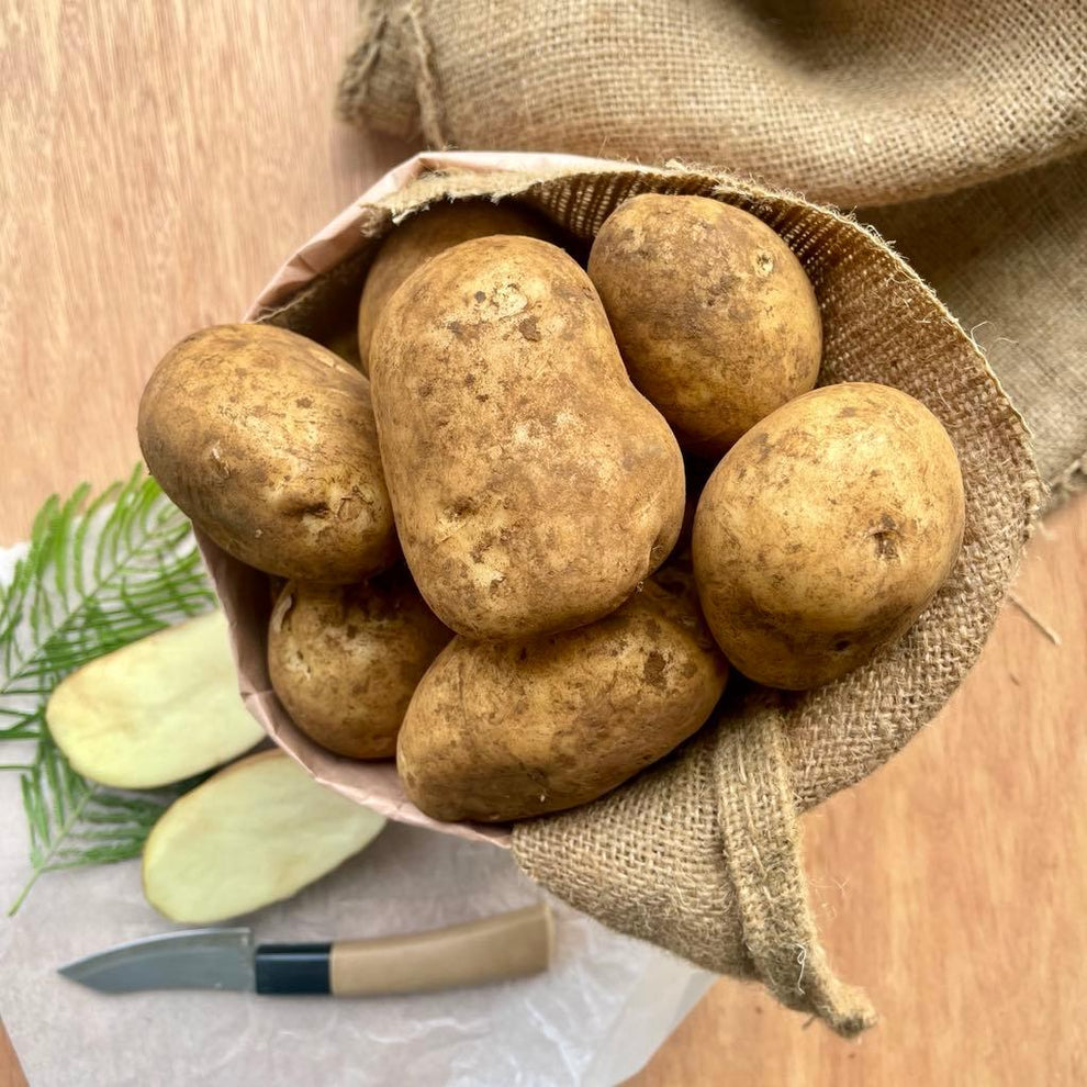 Kennebec Potatoes – Spud Sisters