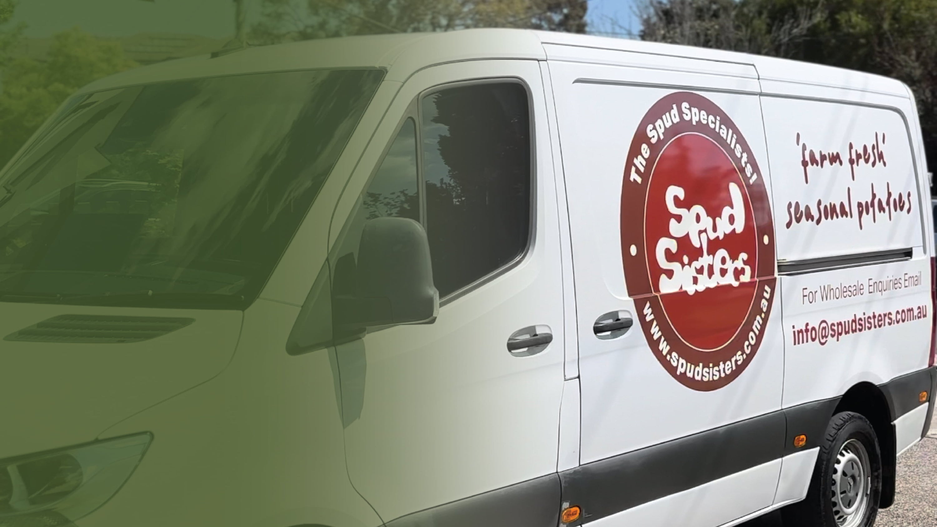 Wholesale – Spud Sisters