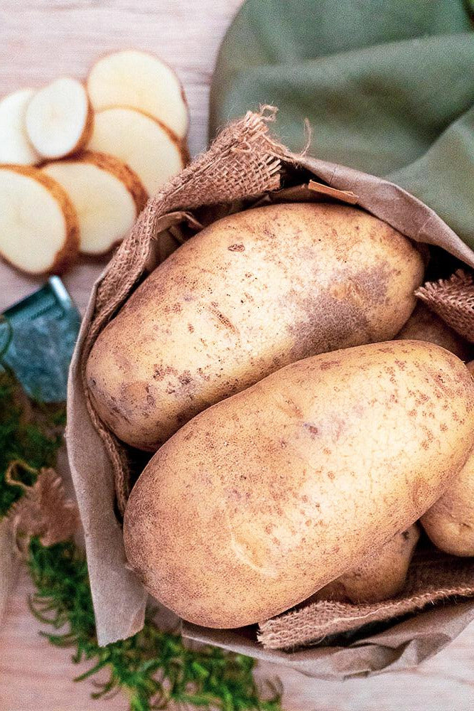 Russet Potatoes – Spud Sisters